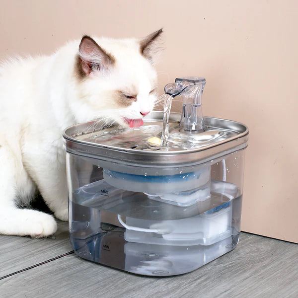 Ensure Hydration and Convenience for Your Pets with the Stainless Stee ...